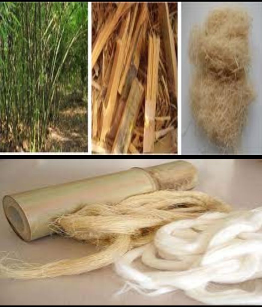 Designing a near shoring cycle of Bamboo Fiber- A sustainable textile ...